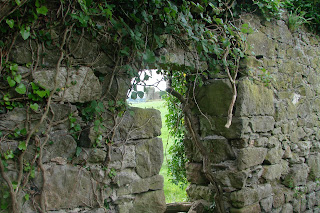 Early Modern Whale: At Kilcolman Castle