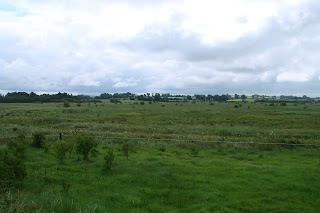 Early Modern Whale: At Kilcolman Castle