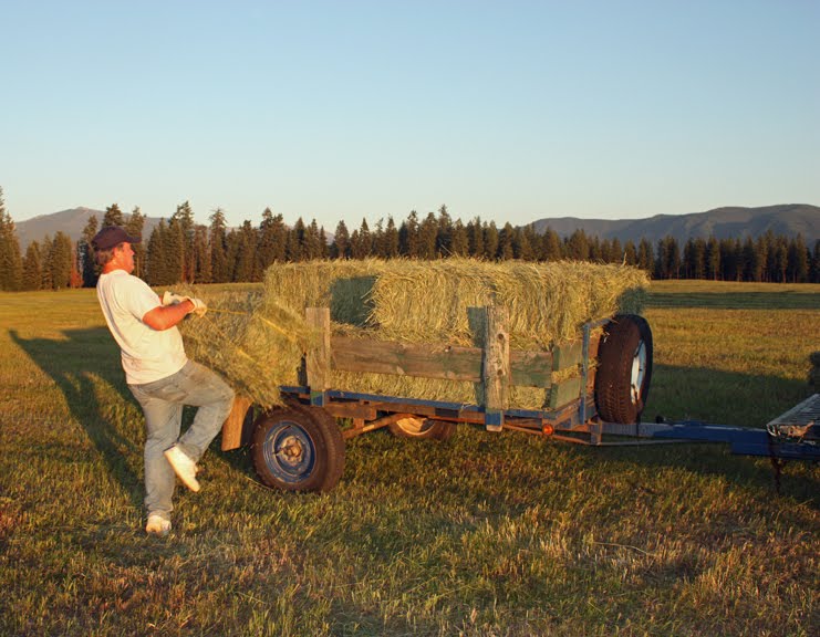 The World Through Silvyr's Eyes: Hay Season