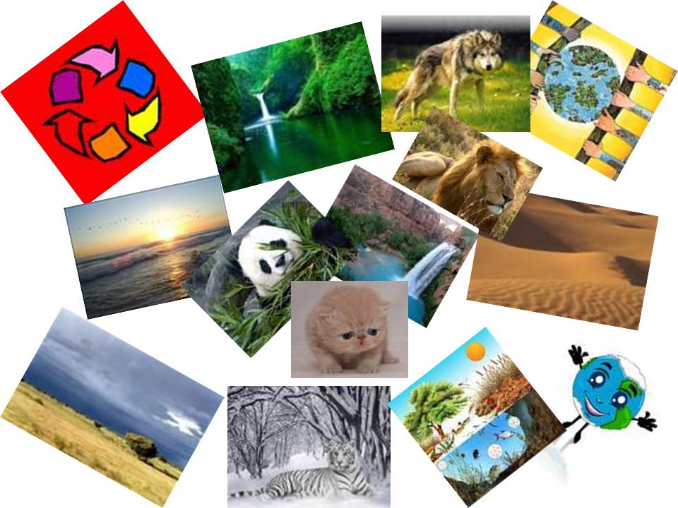Mi Blog..: Collage del medio ambiente