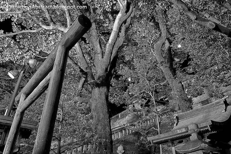 Extracting Abstract: Sacred Tree