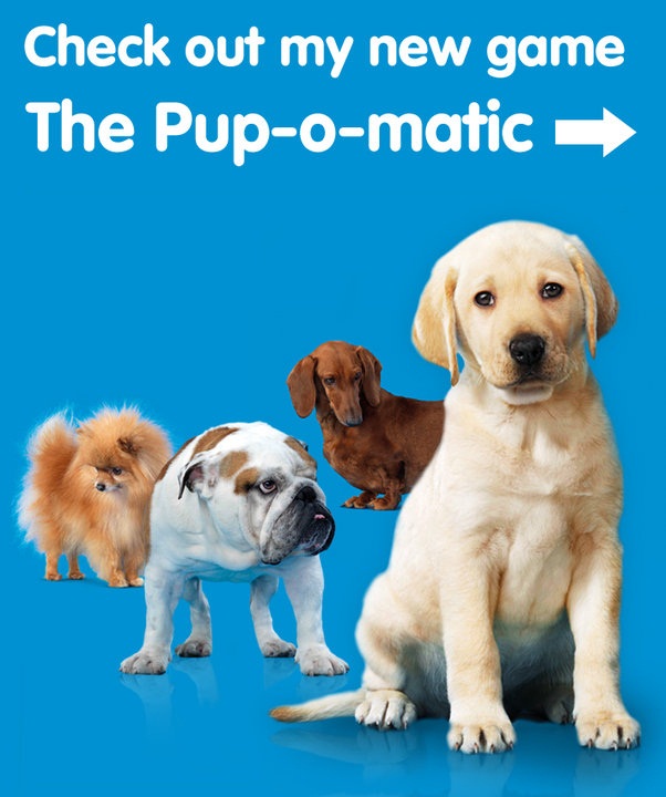 Frog Blog by Frog in the Field: Win some great prizes from Andrex