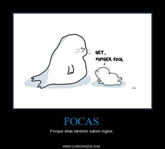 Hasta en inglés : LA FOCA MONJE