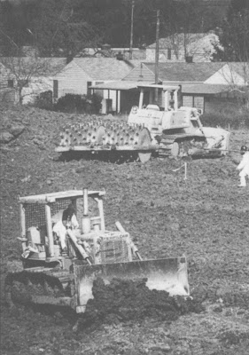 Oddities Curios and Other repressed Emotions: The Love Canal Tragedy