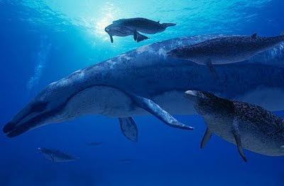 Los más grandes animales marinos extintos