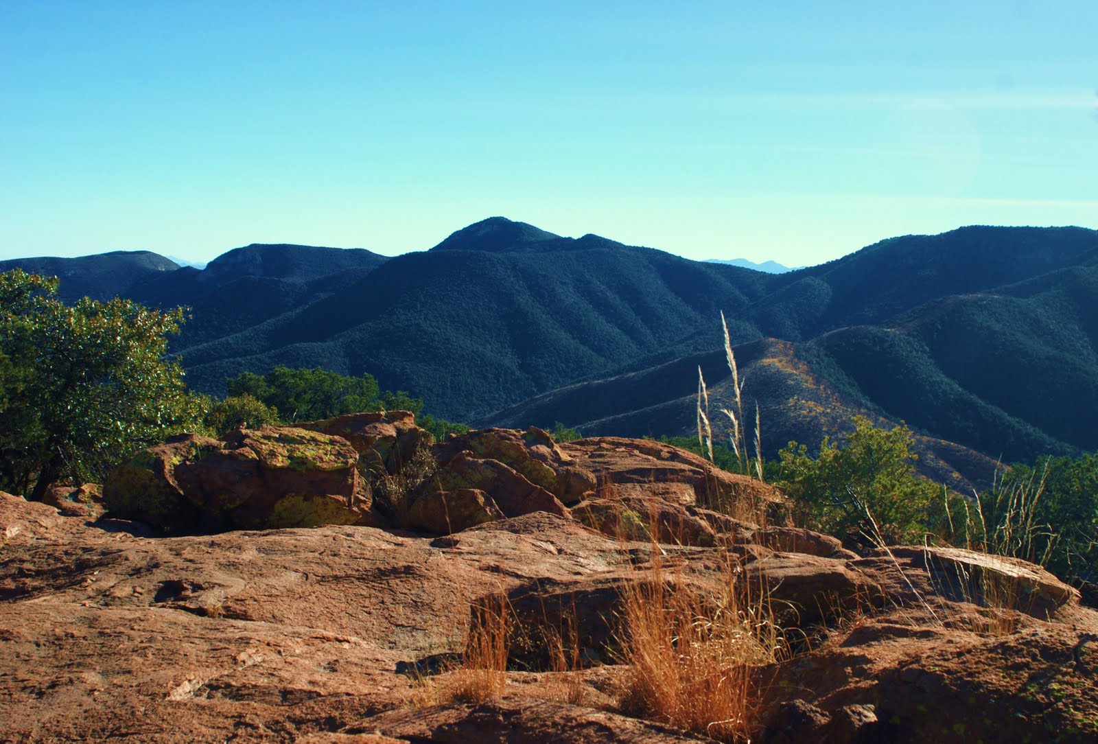 Bear Creek Adventures: Juniper Flats near Bisbee, AZ. 12-11-10.