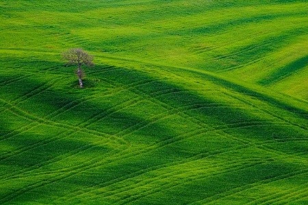 Photography: Elemen Komposisi Dalam Fotografi: Garis