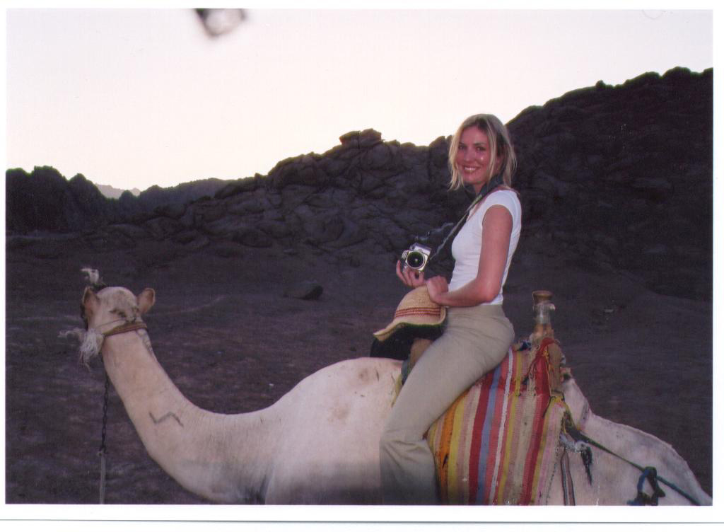 NYC: Your Restaurant Cheat Sheet | ECO ADVENTURER