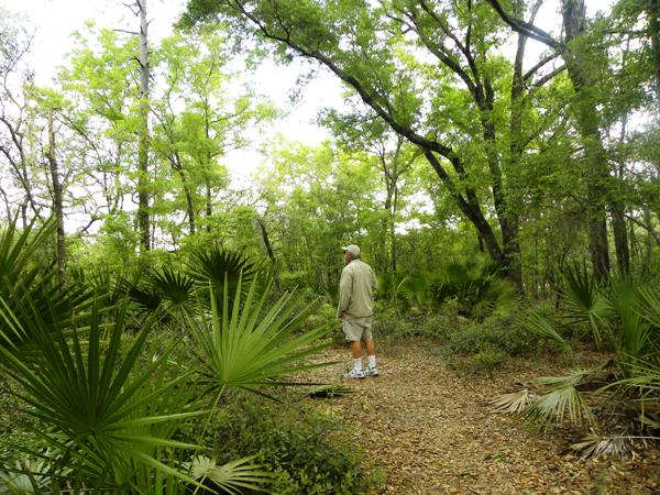 Parker's Barkers: Geocaching at Ross Prairie State Forest