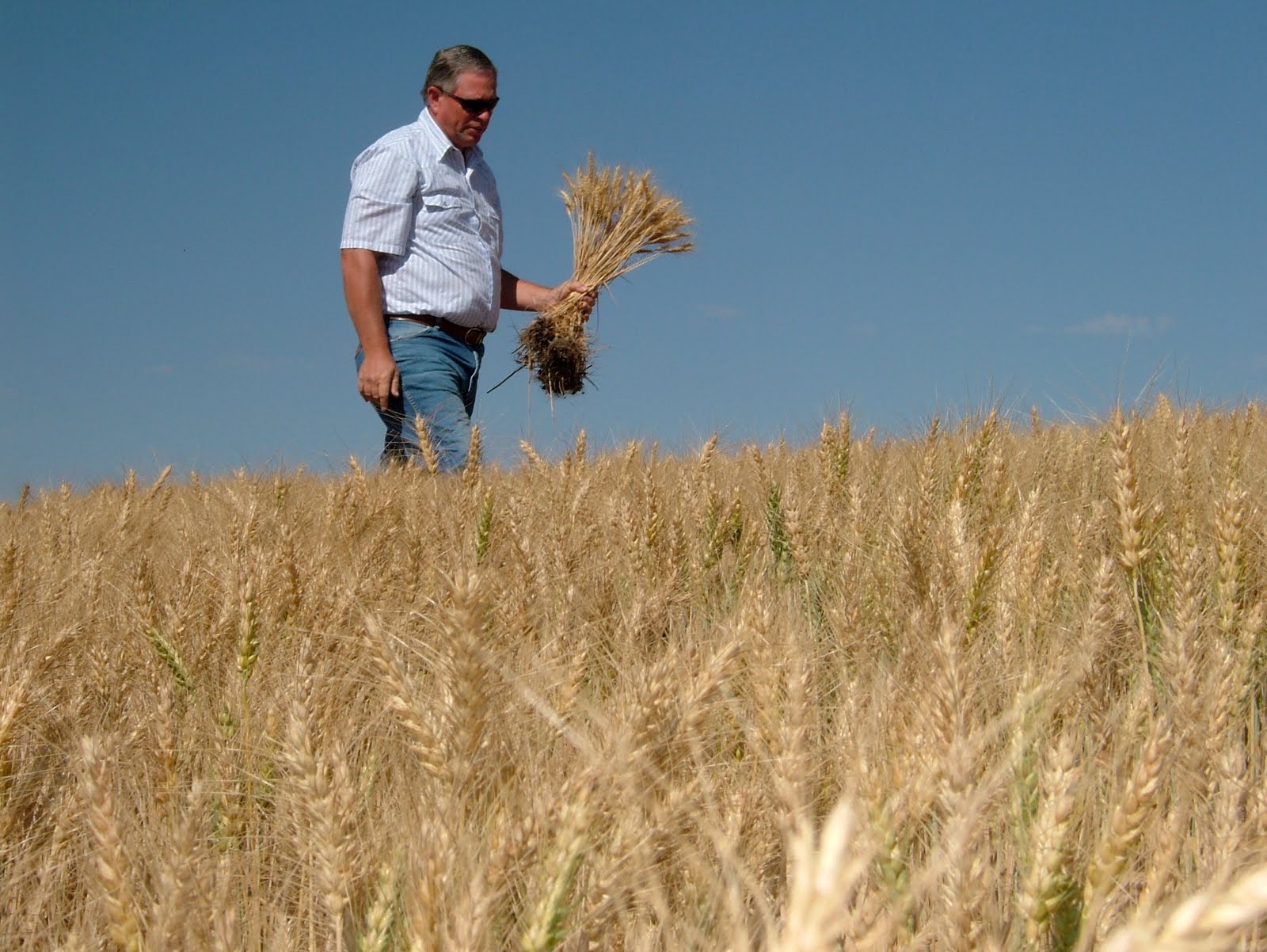 Idaho Wheat Commission News: Governor Re-Appoints Gordon Gallup to ...