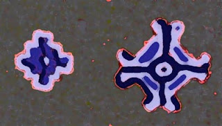 Indus Script & More: A Christmas Package: The Cross in the Indus Valley