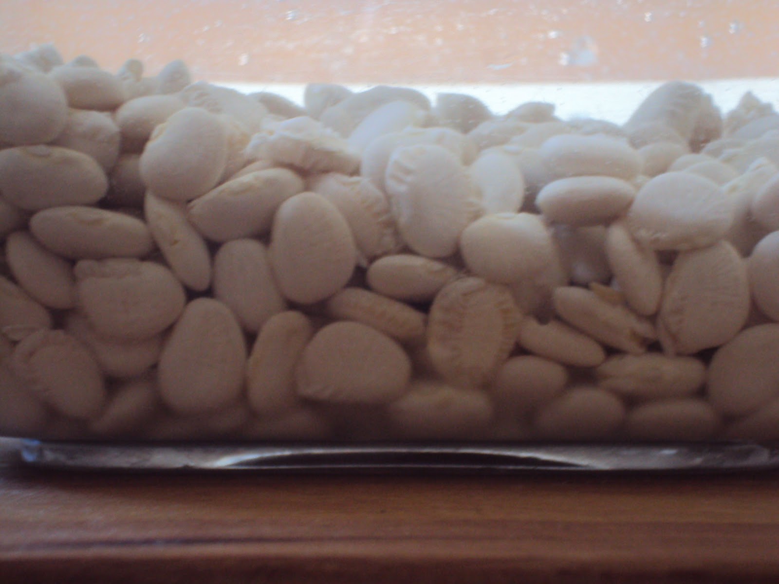 Polish Mama on the Prairie: Fasolka po Bretonsku or Breton Beans