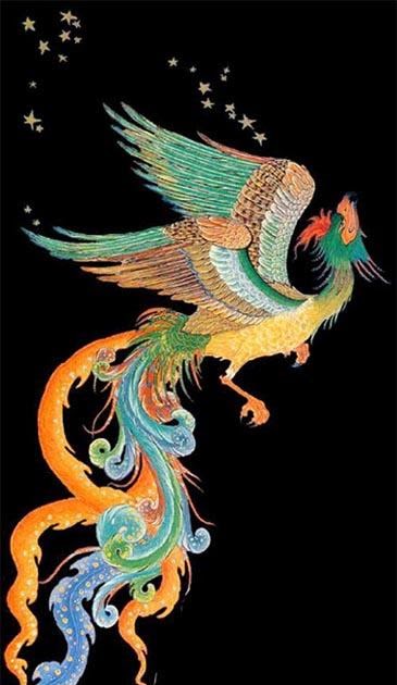 In follow of wisdom در پیروی از خرد: Simorgh