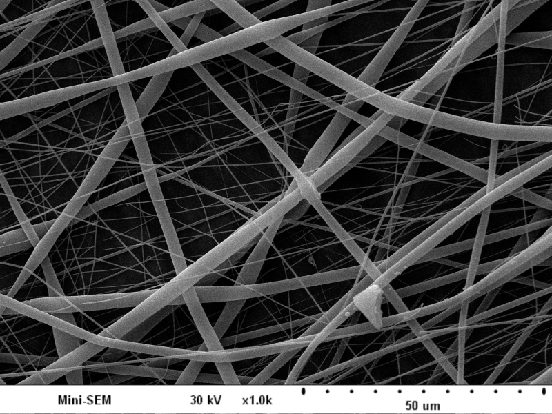 SEC - Scanning Electron Microscope: Nano Fiber Image - SEC Mini-SEM