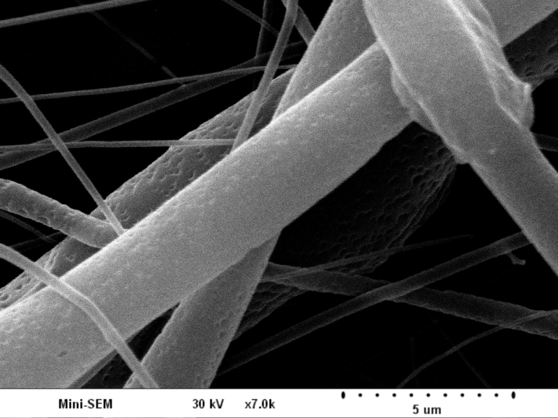 SEC - Scanning Electron Microscope: Nano Fiber Image - SEC Mini-SEM
