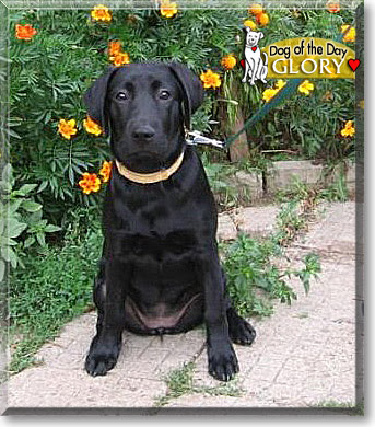 Days of Glory: May 2007