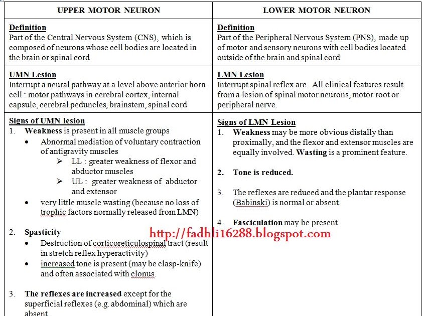 upper motor neuron vs lower motor neuron ~ medik-ukm