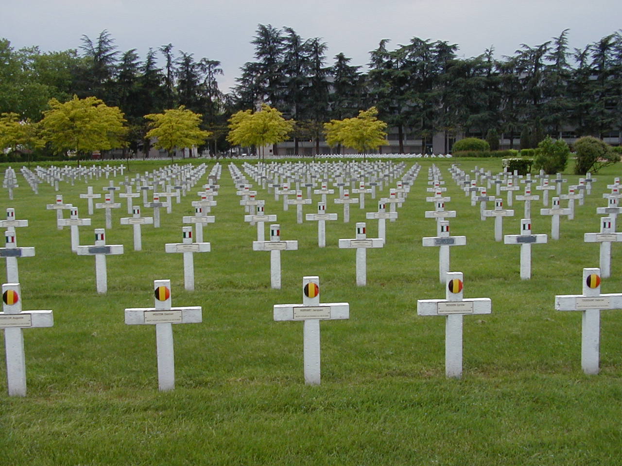 The Frogmarch: June 2010