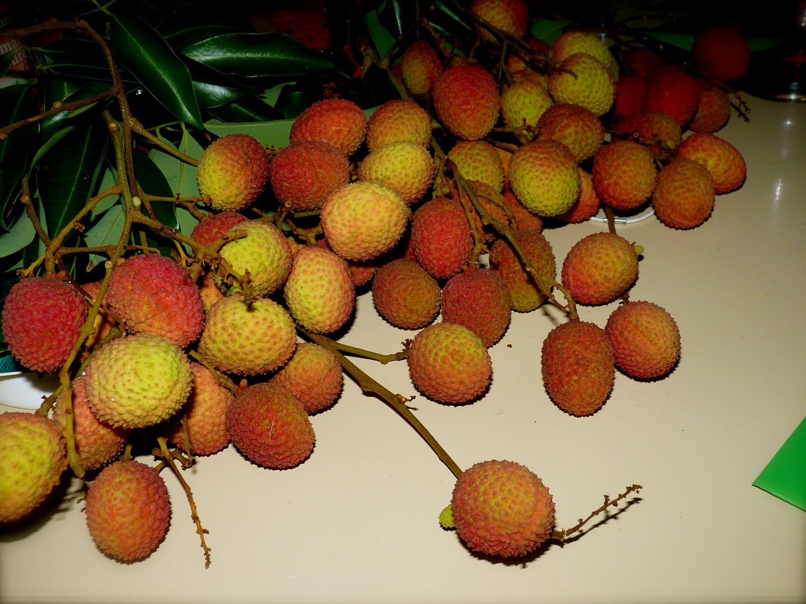 gap-year-2010/11: Lucious Letchis (Lychees)