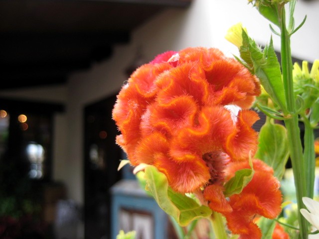 flour child: A Baby Shower for Food Lovers