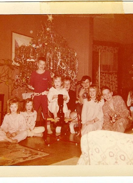 Hanging from the Family Tree: Advent Calendar of of Christmas Tree