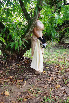 Timeless - thebookmann - Feinin: La Diablesse sweet smell of eau de perfume