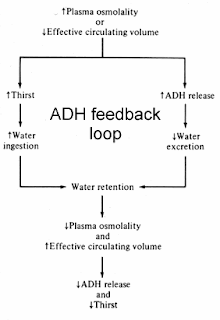 Mr. C's "popular" Bio30 BLOG: June 2009