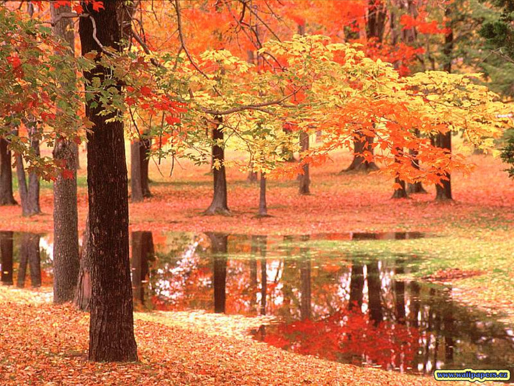 BEST WALLPAPERS HERE !: Toamna