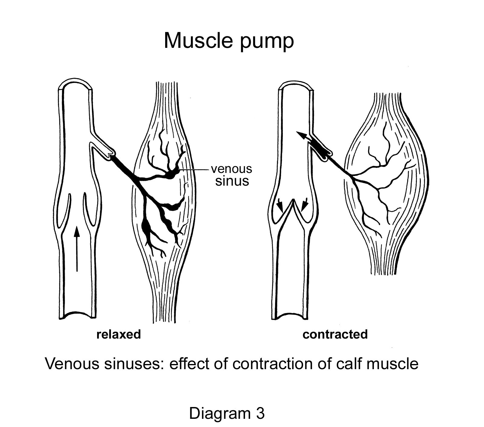 RadiologySpirit: 2010-07-11