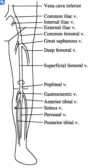 RadiologySpirit: 2010-07-11