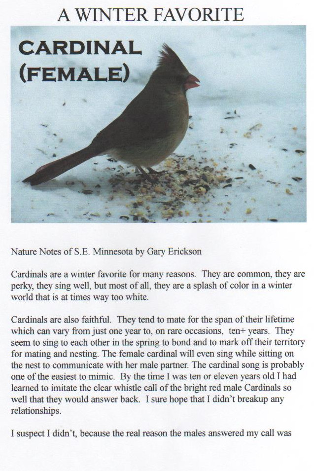 NATURE NOTES: February 2011