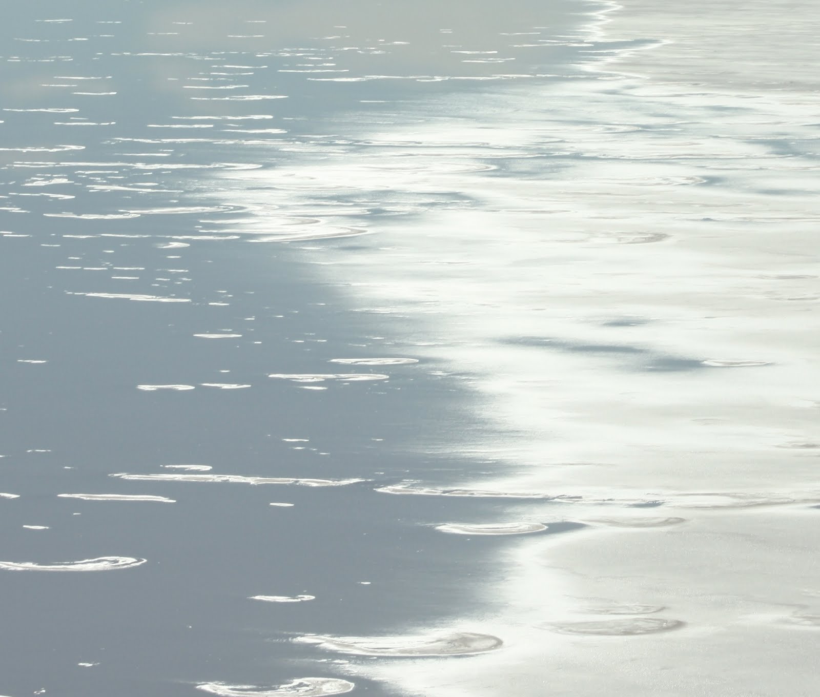 I am a liminal being: LAKE EYRE IN FLOOD