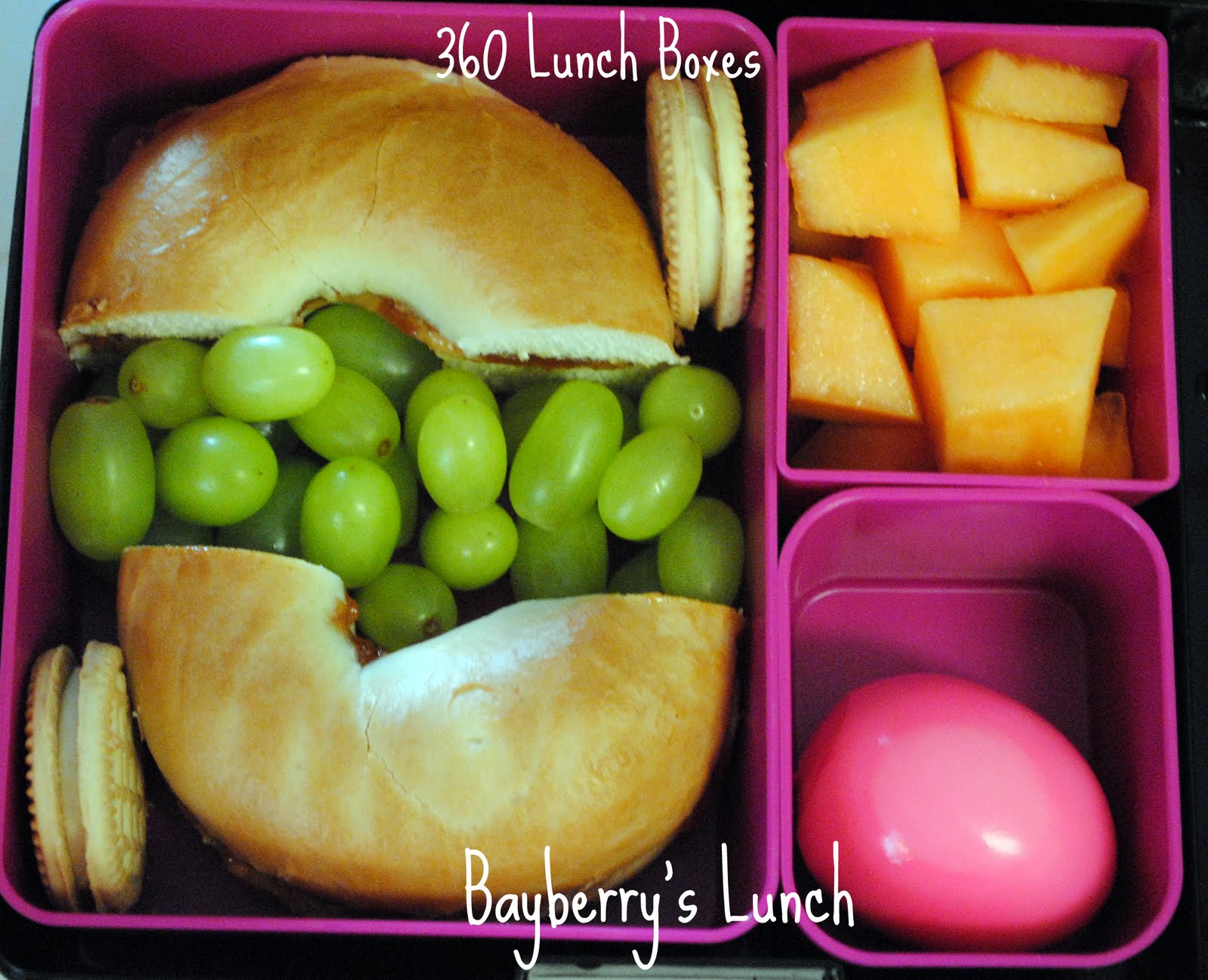 360 Lunch Boxes: Lunch for Everyone (Except Me)