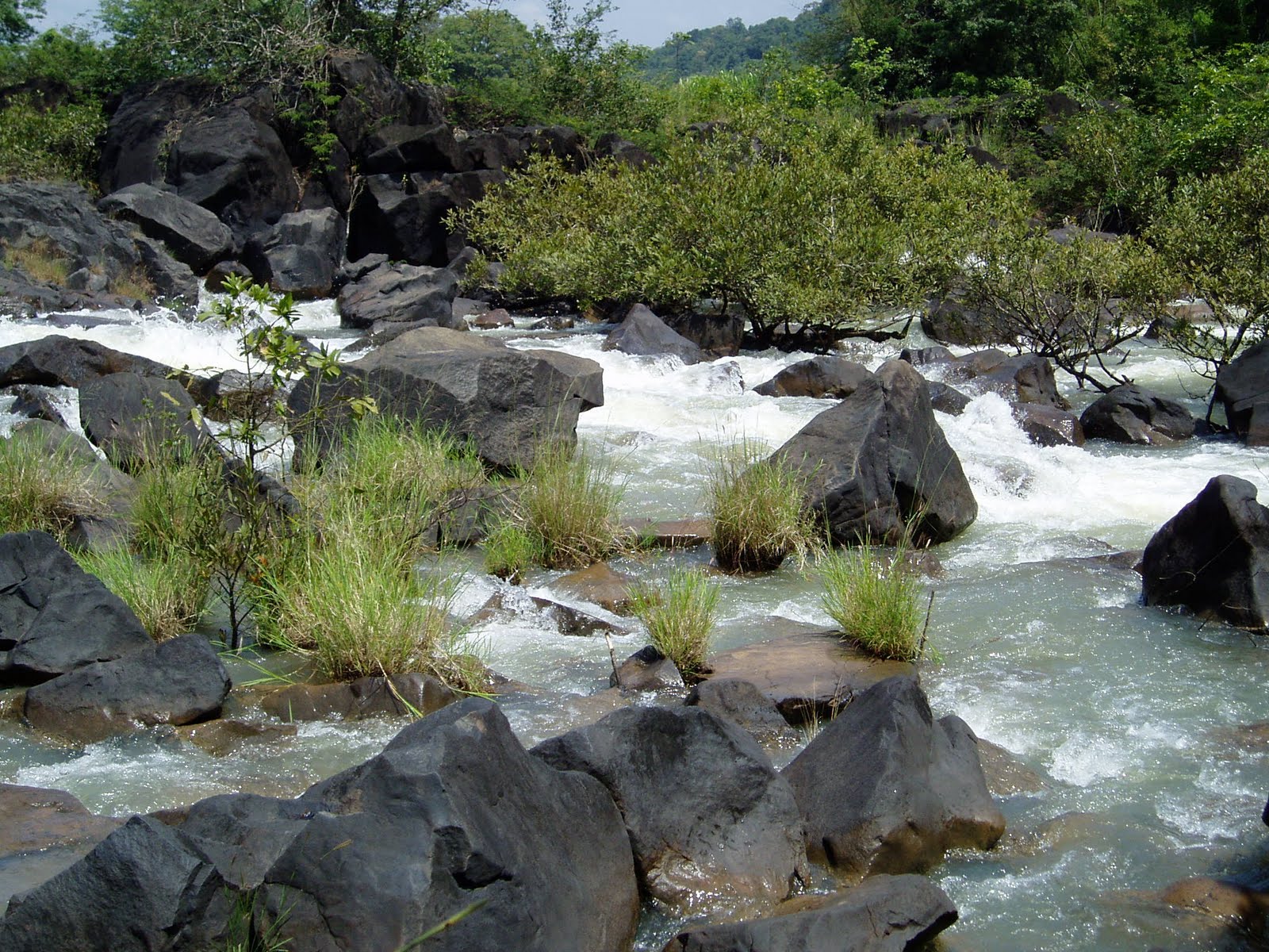 Dollar Chauhan: Dandeli