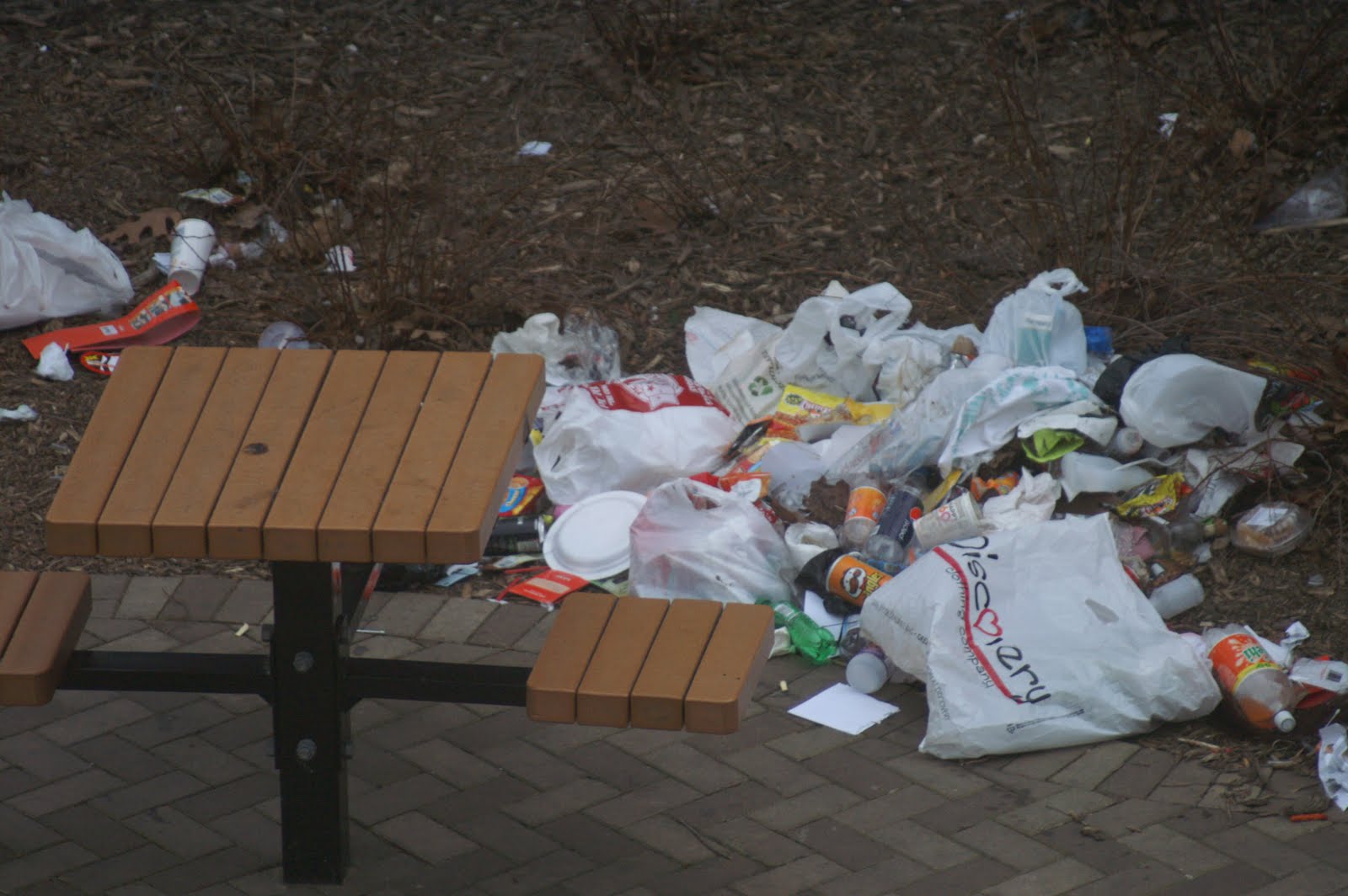 North Howard Neighbors Association: THE HAROLD WASHINGTON CHILDREN'S ...