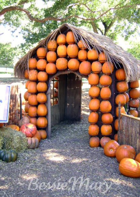 BessieMary: Pumpkin Houses