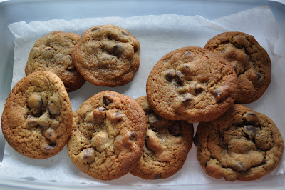 Lisa is Hungry: The Chewy