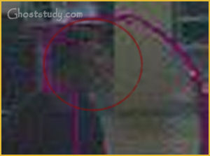 Willard Library Cams