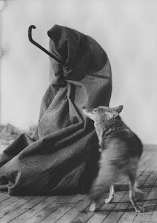 aLotofArt: Fieltro y grasa… la resurrección de Joseph Beuys