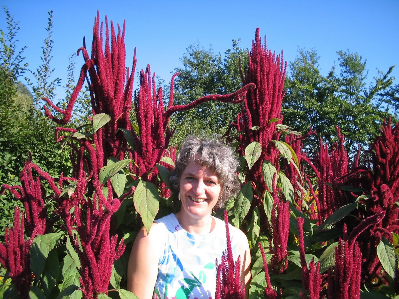 Kookkunsten: Amarant