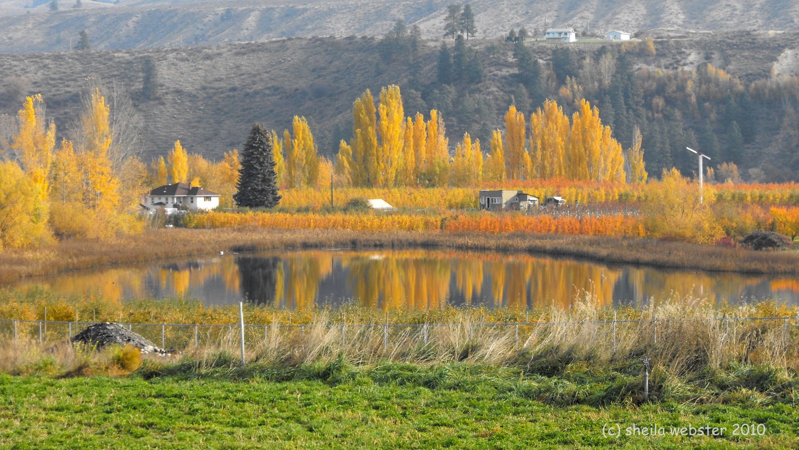 We Love RV'ing: Oliver, BC ~ Okanagan Valley ~ Orchards ~ Autumn Colors