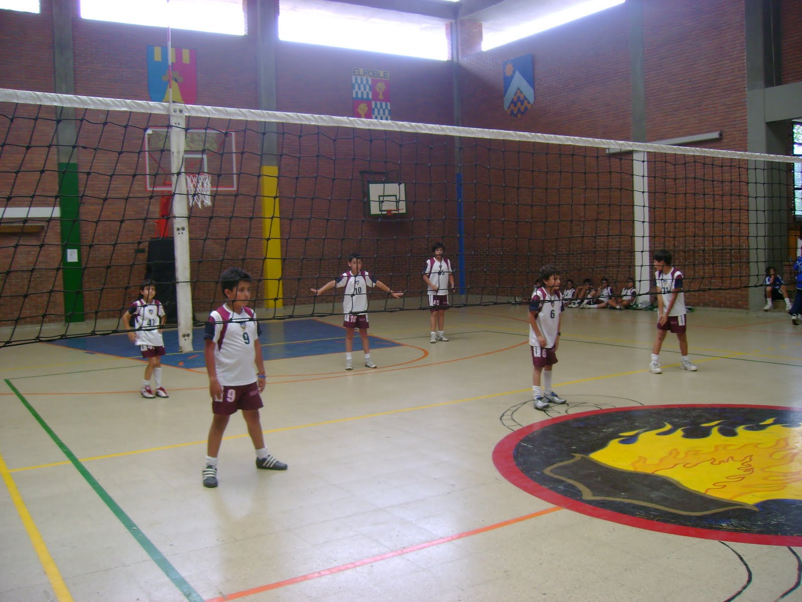 Intisana en Medellín