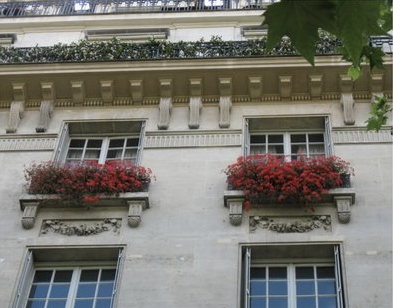 Friday Flowers-Window Dressing