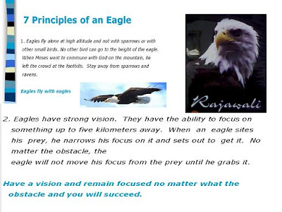 PROUD PLANTERS: 7 Principles Of Eagle