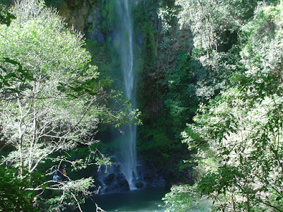 Grupo Ecoaventura: El Salto de Tecolotlan