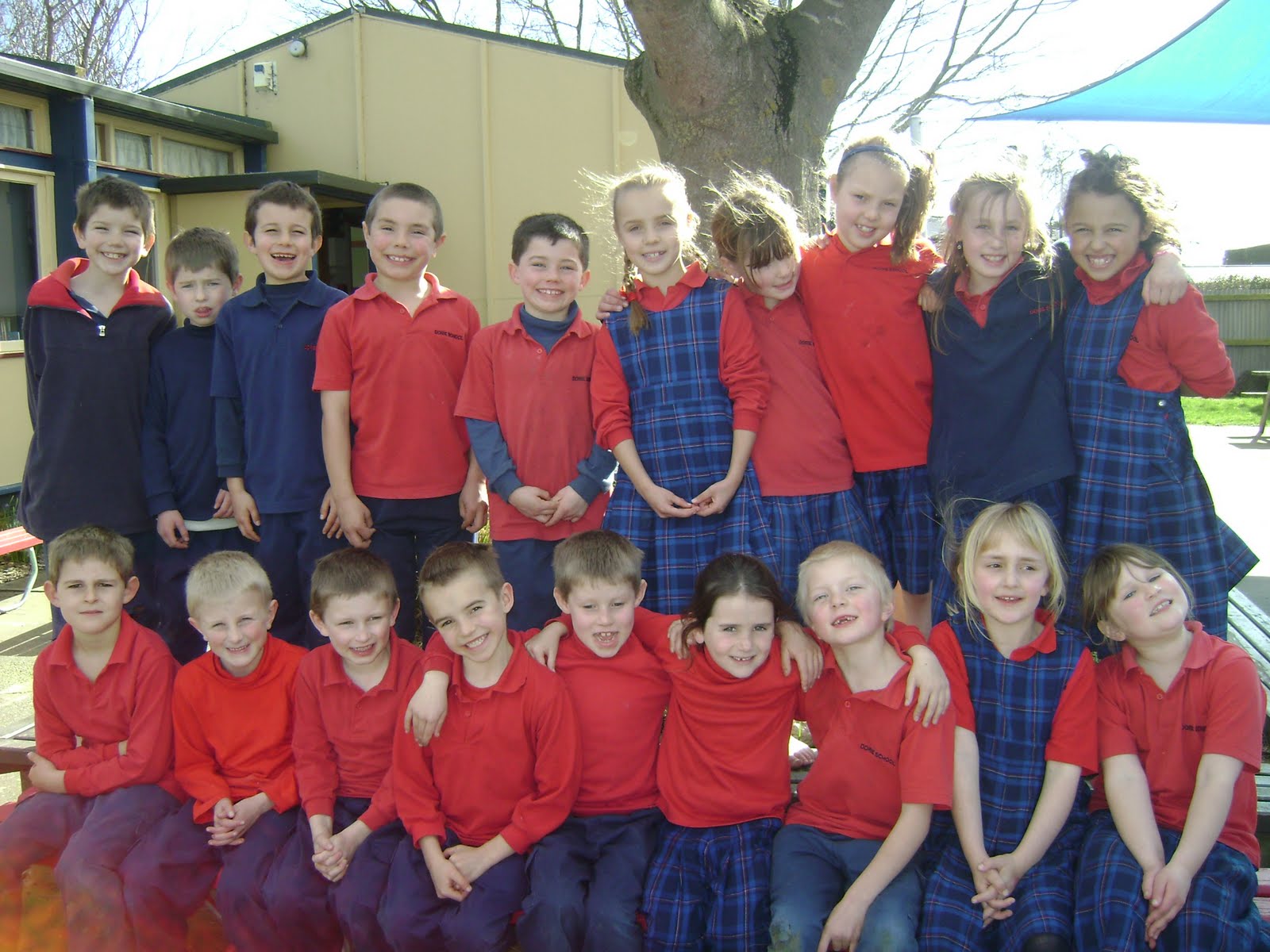 Kereru - Dorie School: Room 2 is growing!