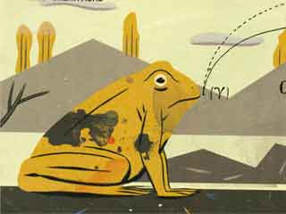 Aprender Haciendo: DISECCIÒN DE UN BATRACIO