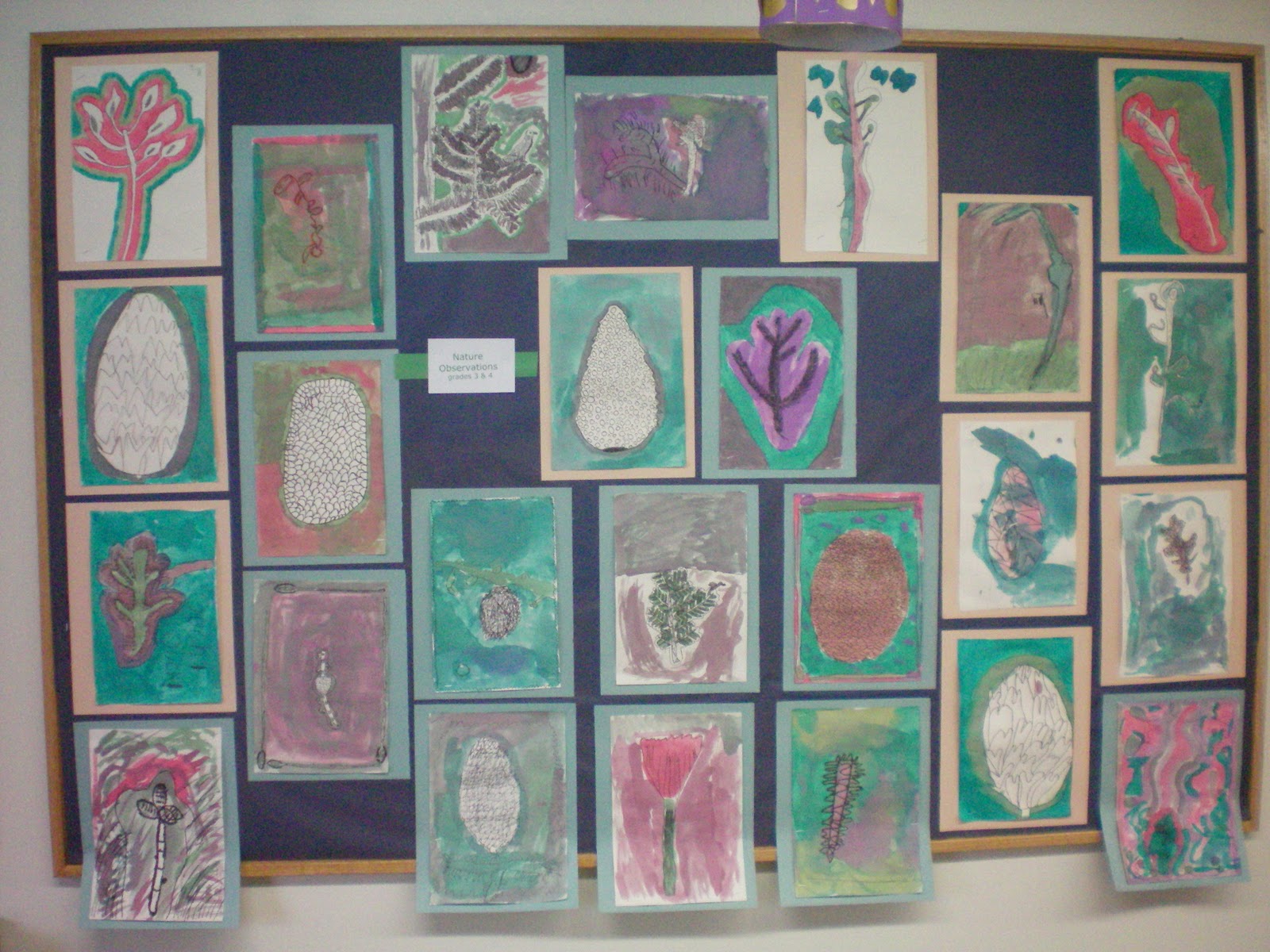 Student Artwork: 3-4 Nature Observations