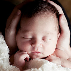 All About Baby: Newborn Babies