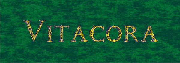 Vitacora